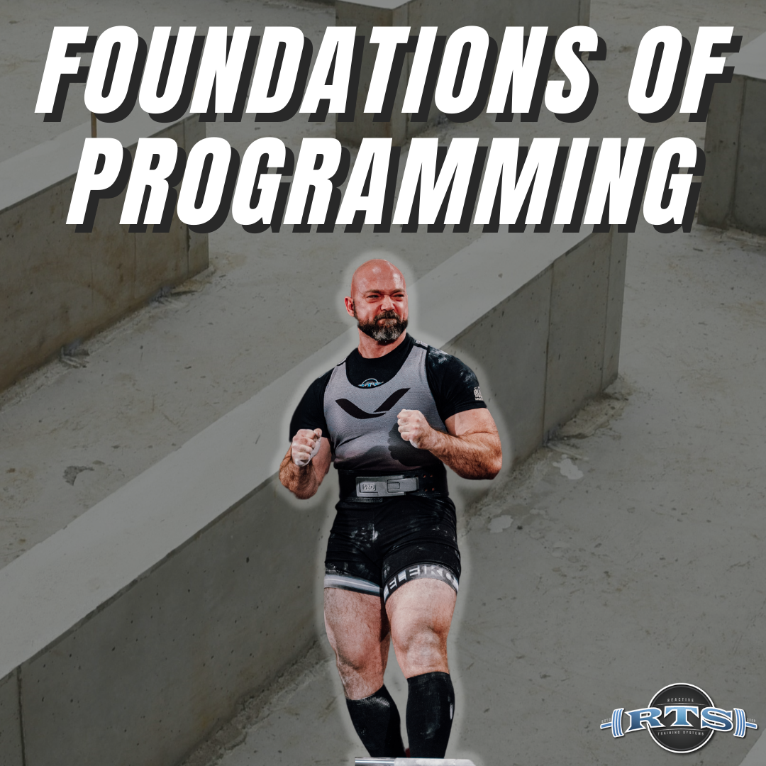 Foundations of Programming – Reactive Training Systems