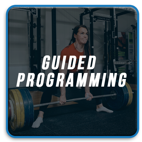 Guided Programming – Reactive Training Systems